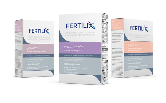 PERSONALIZED PRENATALS | Healthy Pregnancy Support – Fertilix